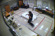 Multiple cameras fall dataset