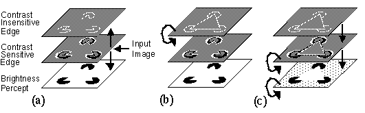 Gestalt Isomorphism I