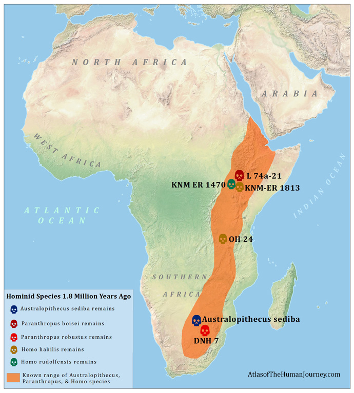 Homo Habilis Map